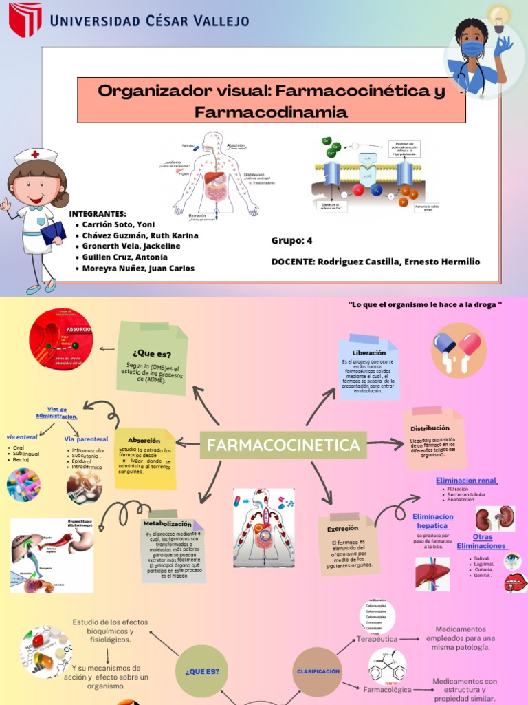Farmacocinética y Farmacodinamia | PDF | Medicamentos con receta | Farmacocinética