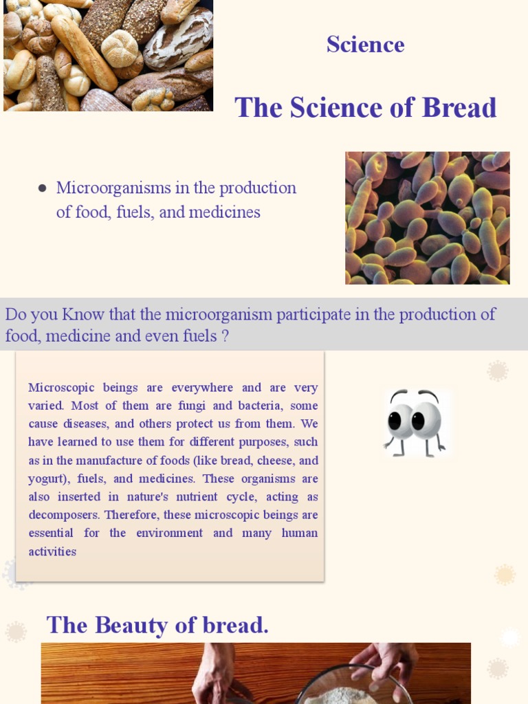 Microorganisms in Bread and Fermentation | PDF | Fermentation | Yeast