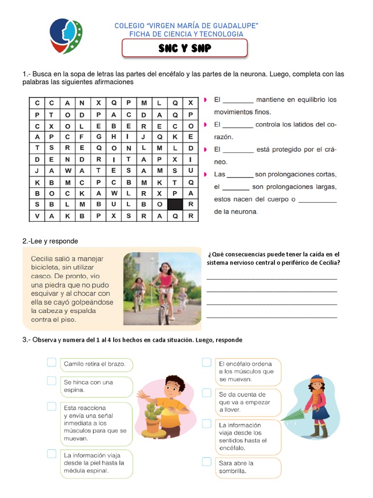 CT - SNC y SNP | PDF