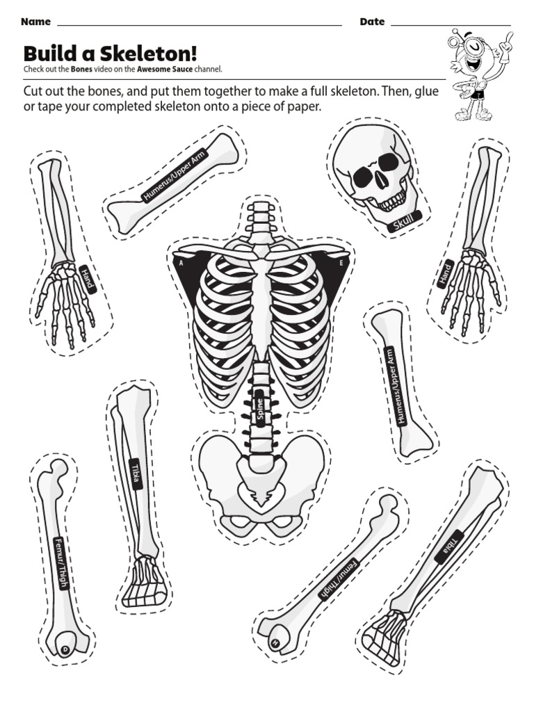Build A Skeleton FINAL - Original 1644615332 PDF | PDF