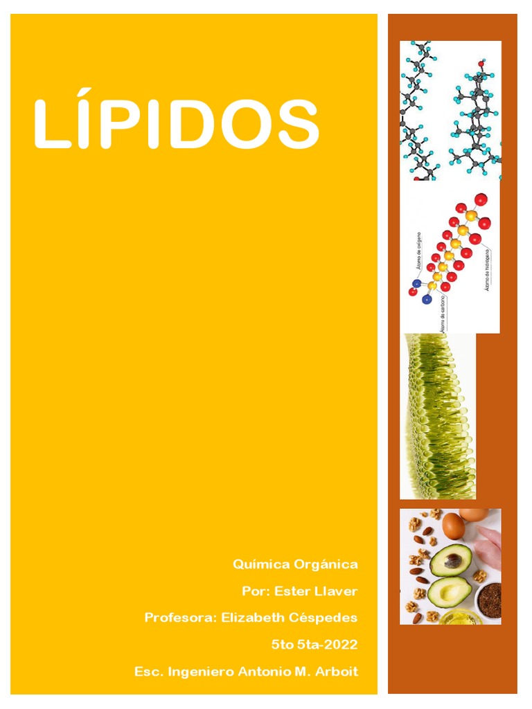 Lípidos PDF | PDF | Lípido | Lipoproteína