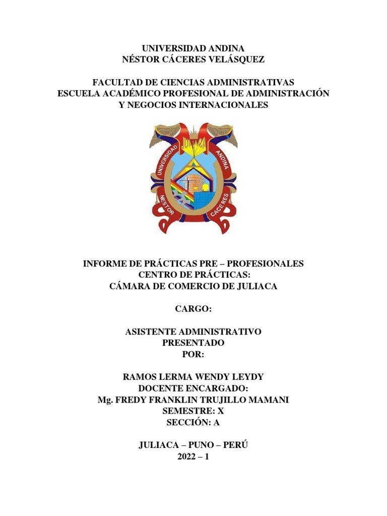 Informe de Practica Decimo PDF | PDF | Planificación | Liderazgo