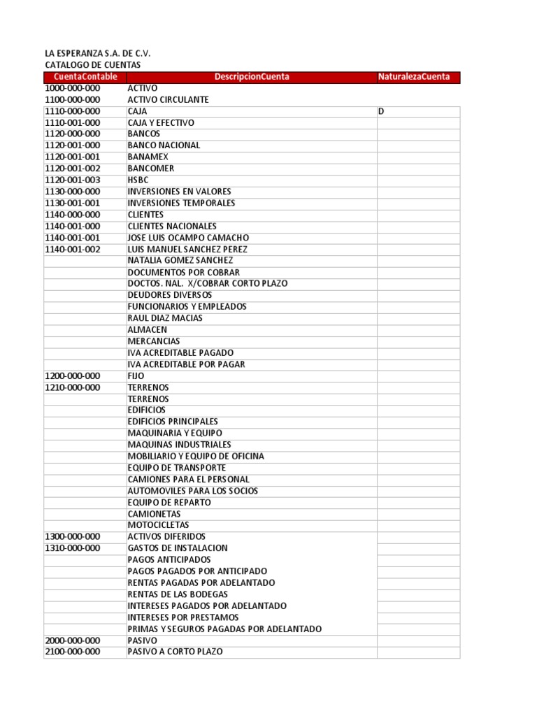 Catalogo de Cuentas | PDF | Servicios financieros | Dinero