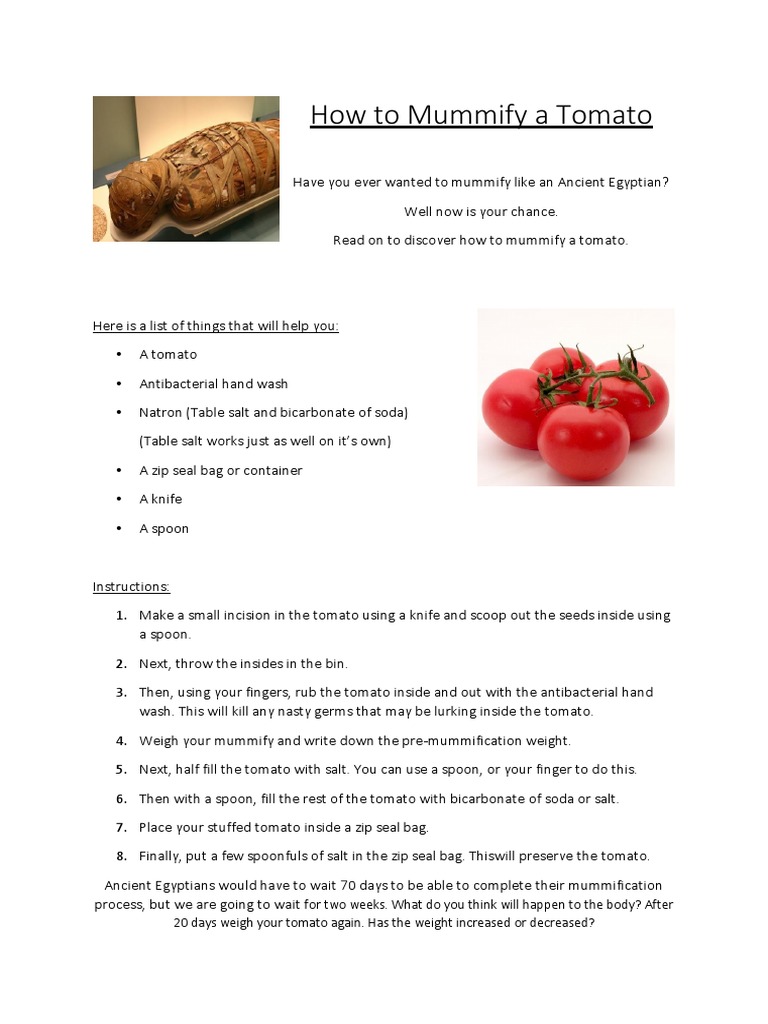 How To Mummify A Tomato Activity | PDF