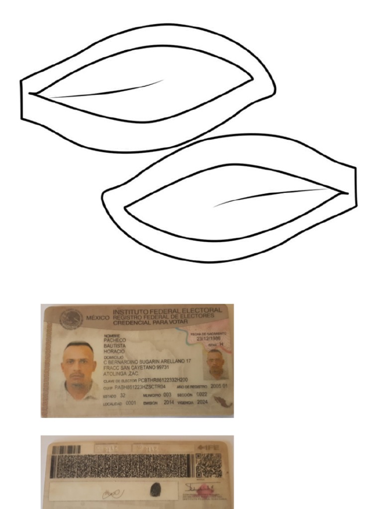 Molde Orejas de Burro | PDF