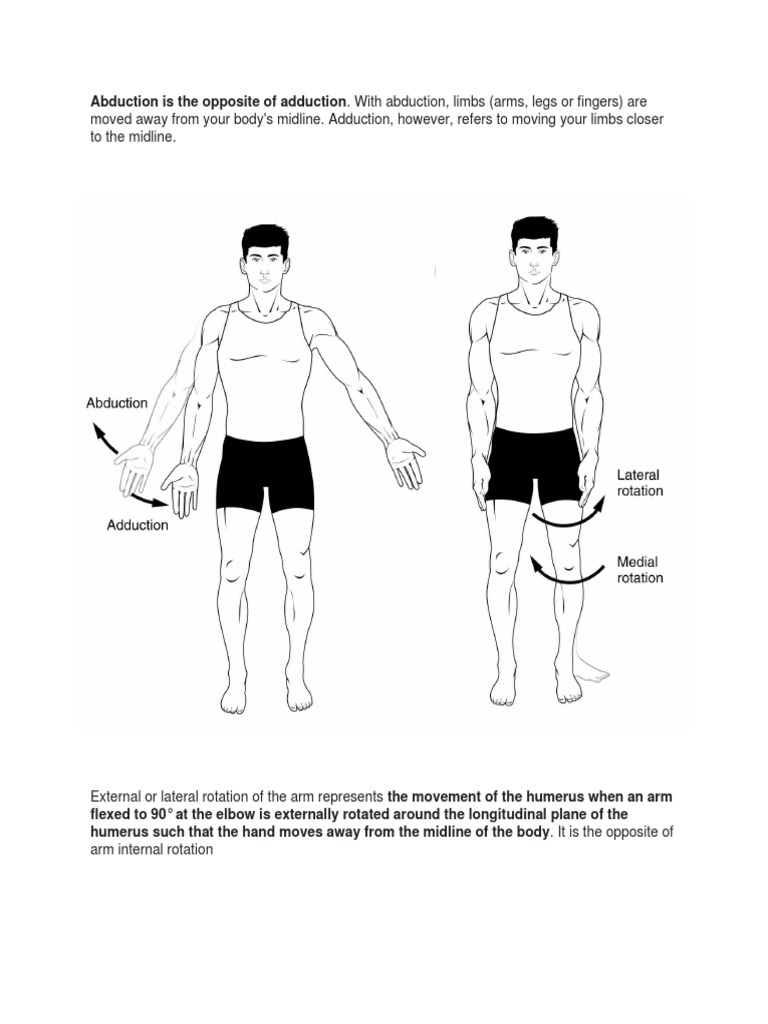 Body Movement Terminology Guide | PDF