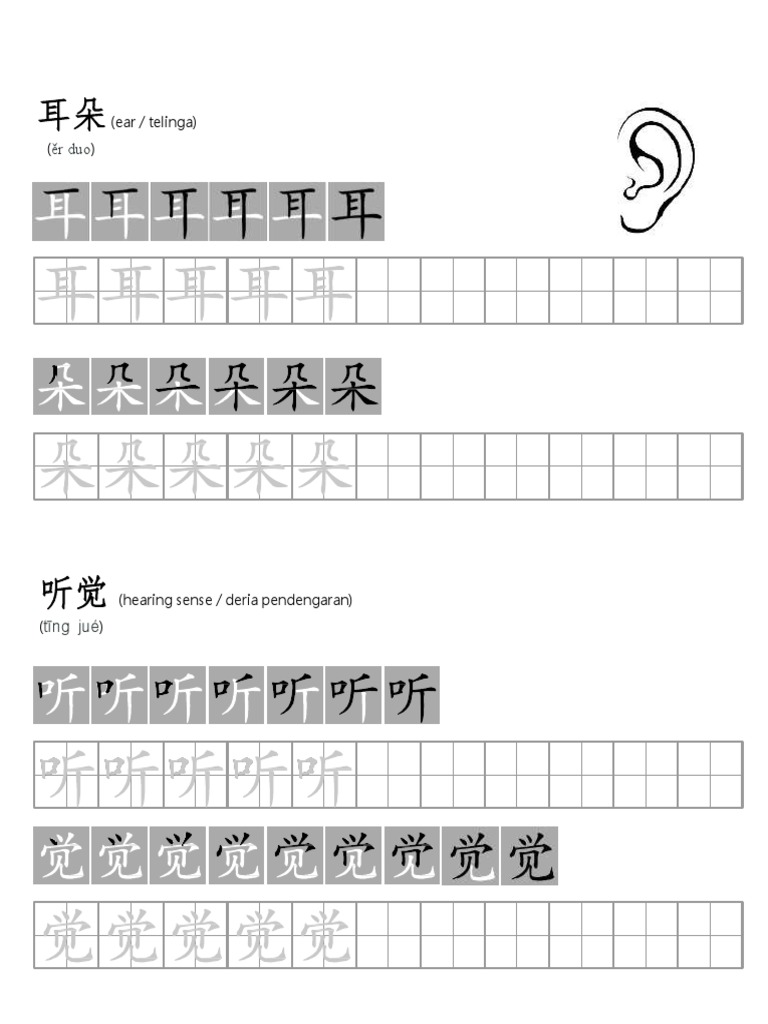 Chinese Body Parts | PDF