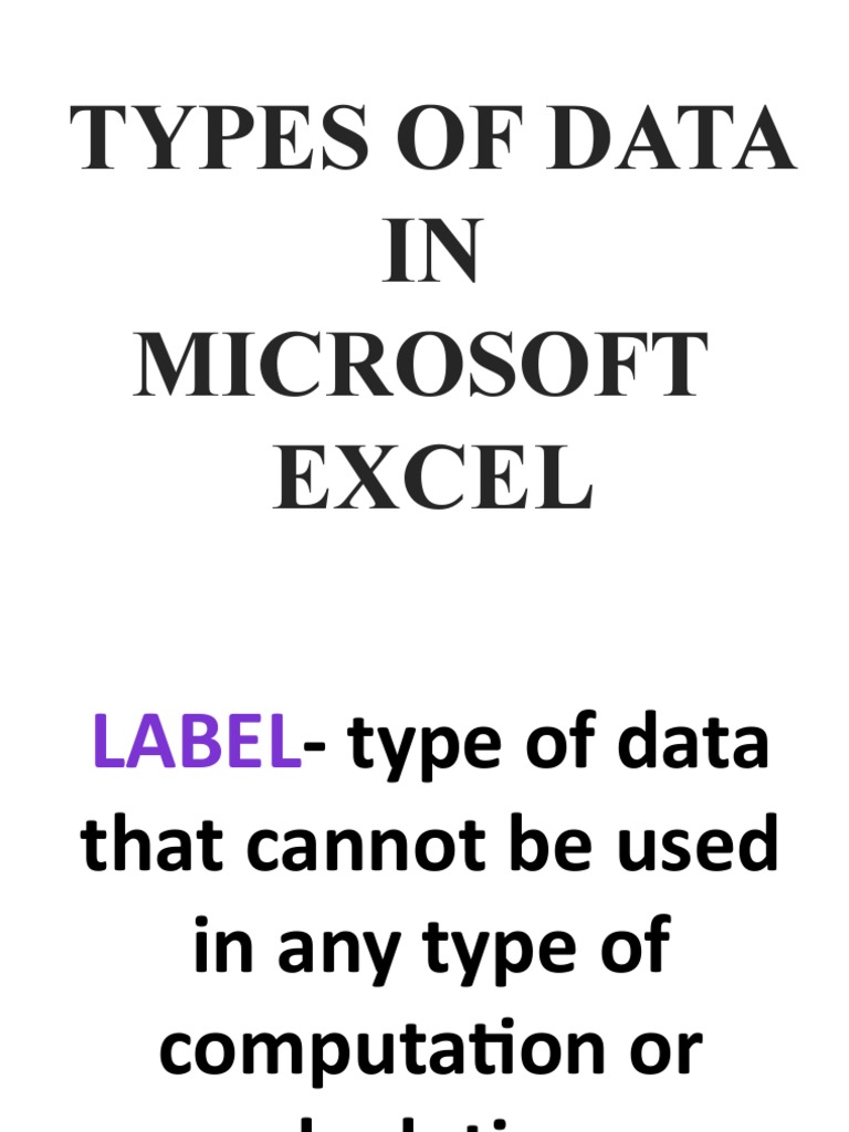 Types of Data in MS Excel | PDF