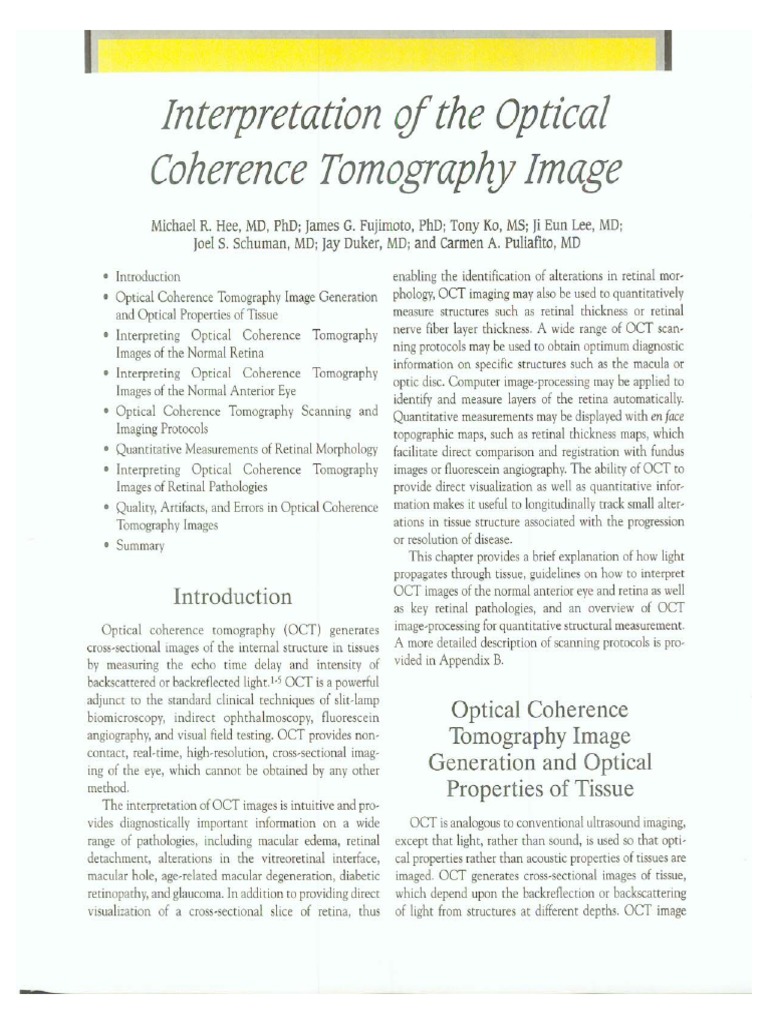 Interpretation of OCT Images - 2004 - Print To File PDF | PDF
