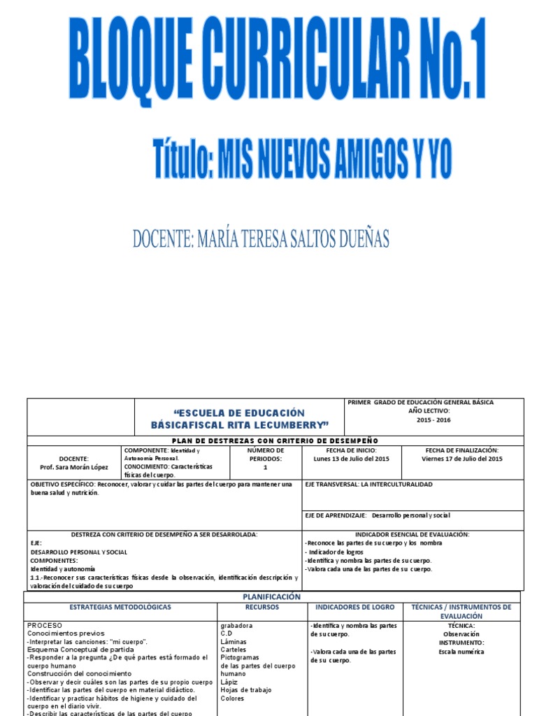 Plan de Destrezas Primer Grado 2015-2016 | PDF | Evaluación | Maestros