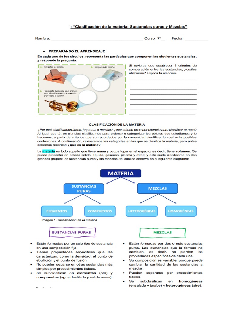 Guia 7º Ciencias | PDF