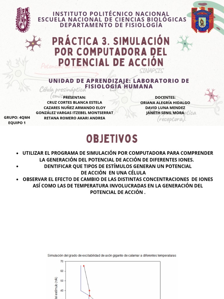 PRÁCTICA 3. Simulación Por Computadora Del Potencial de Acción. E1 | PDF