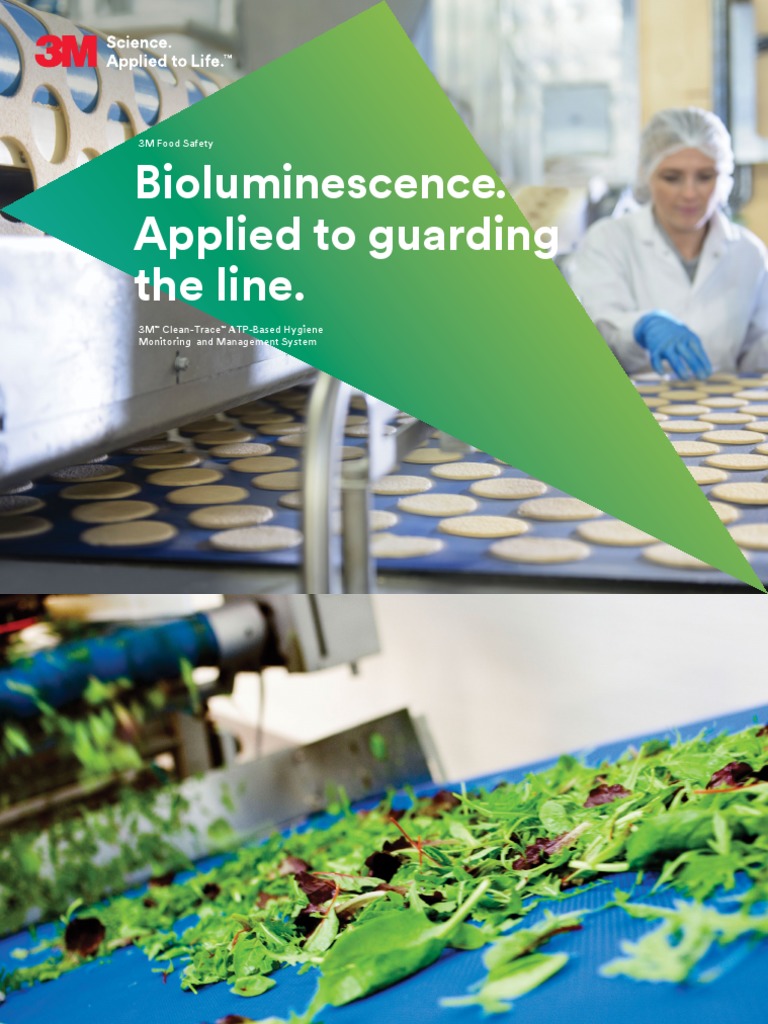 3M Clean Trace ATP LM1 Brochure PDF | PDF | Risk | Usability