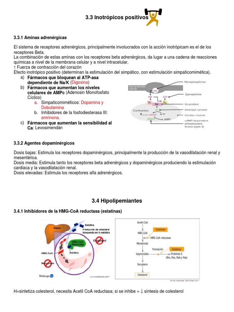 Fármacos Inotrópicos Positivos | PDF