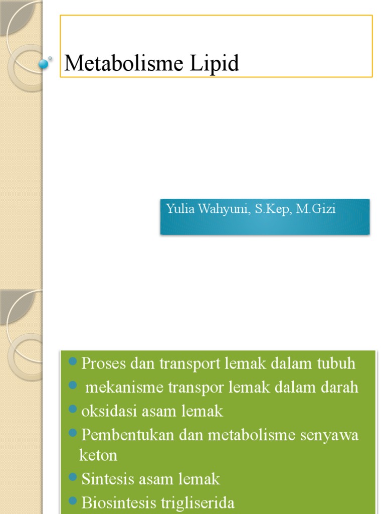 Metabolisme Lemak | PDF