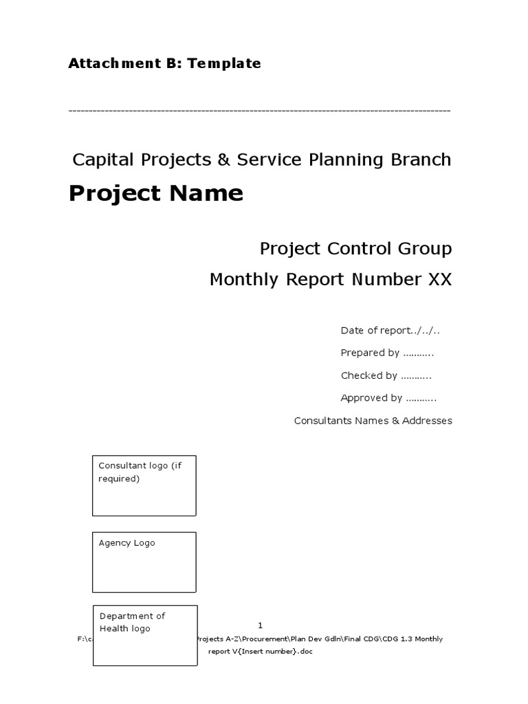 Monthly Report Template | PDF