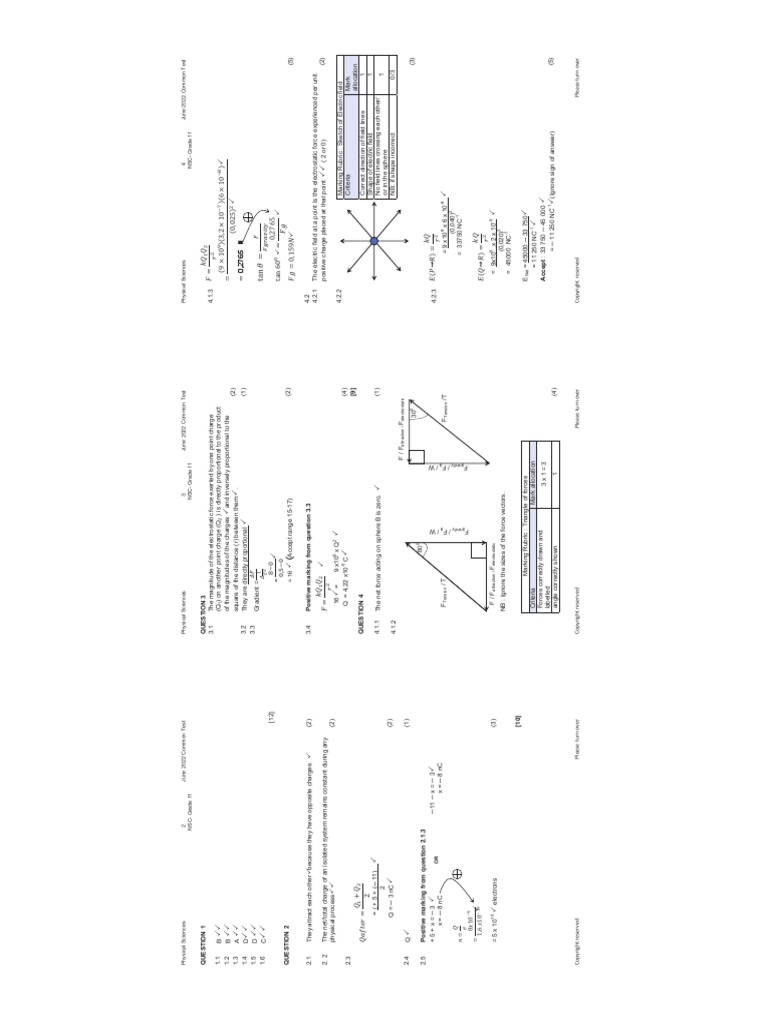 Physical Sciences Grade 11 June P2 Marking Guidline - 2 | PDF | Mole (Unit) | Physical Quantities