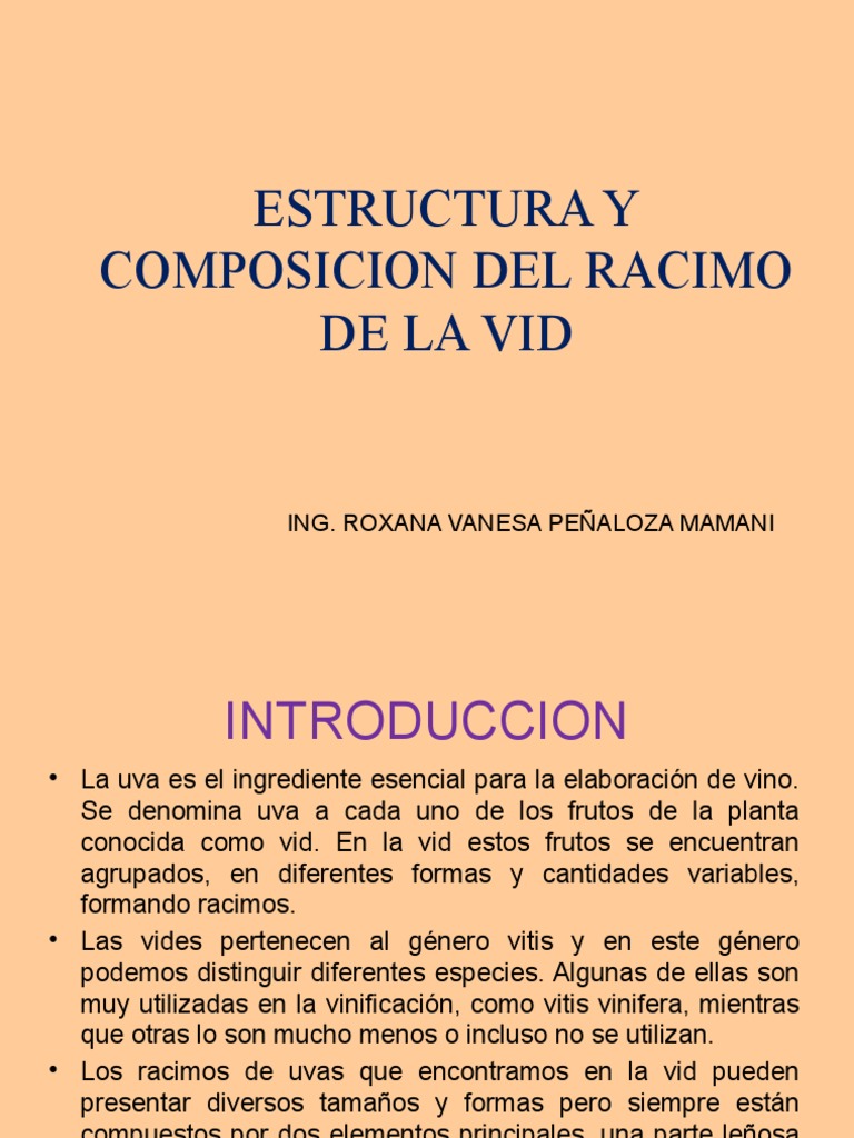 Estructura y Composicion Del Racimo de La Vid | PDF | Uva | Vino Estructura y Composicion Del Racimo de La Vid | PDF | Uva | Vino