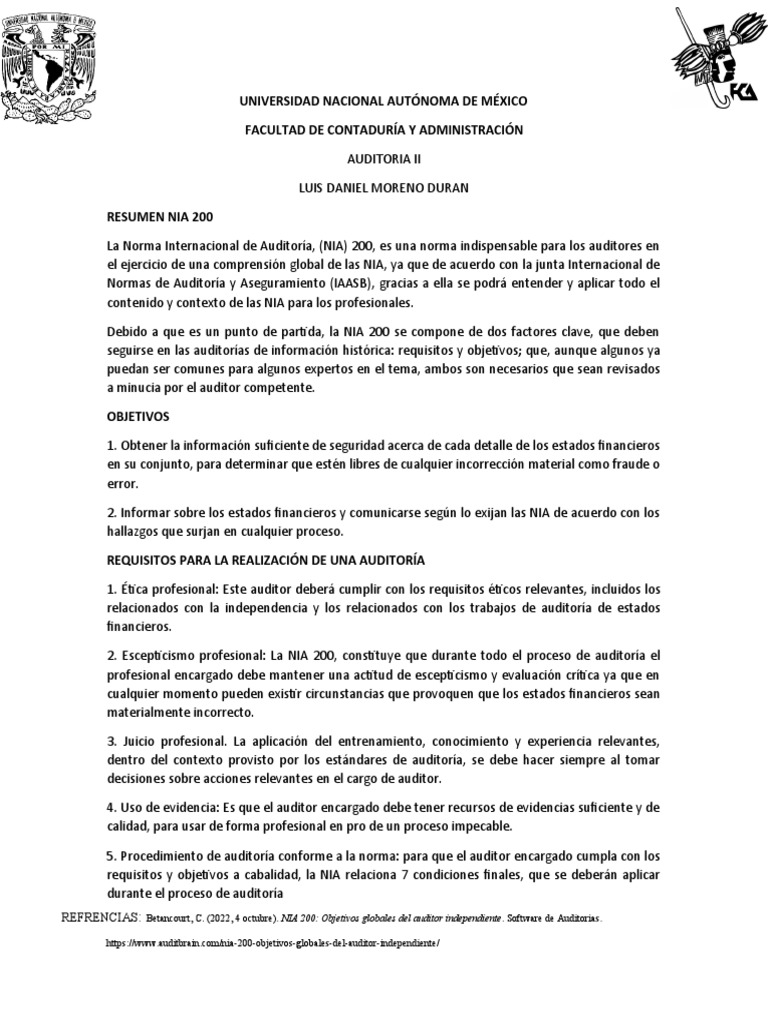 NIA 200 RESUMEN - copia | PDF | Auditoría | Business