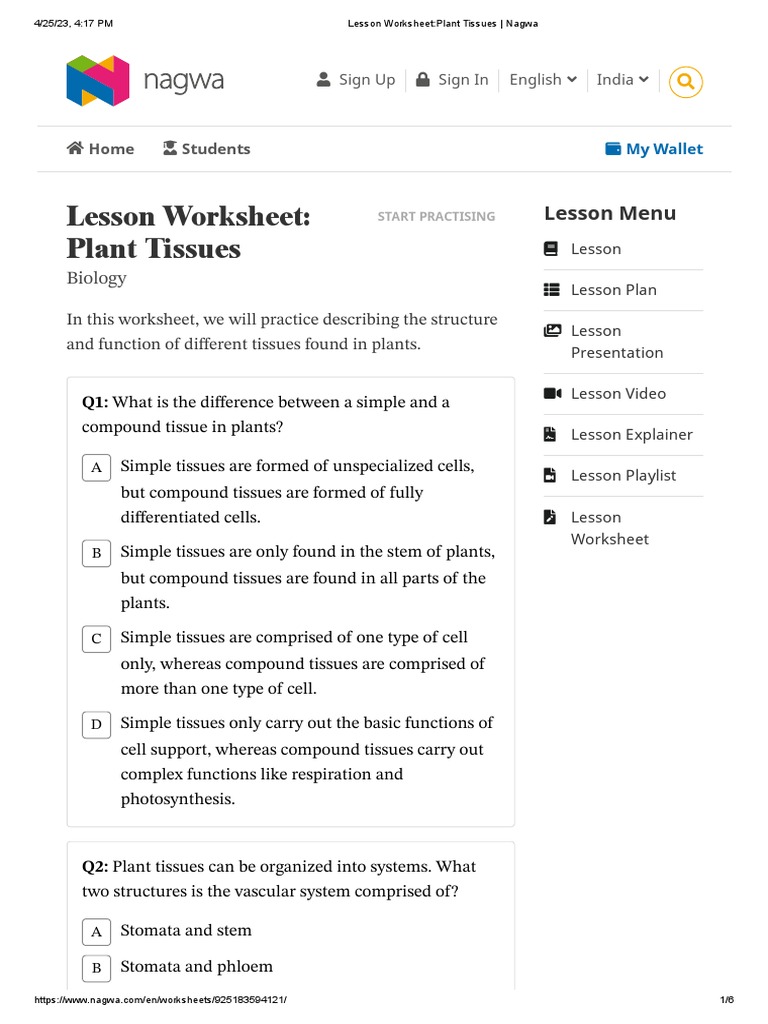Lesson Worksheet_Plant Tissues _ Nagwa.pdf | PDF | Tissue (Biology ...