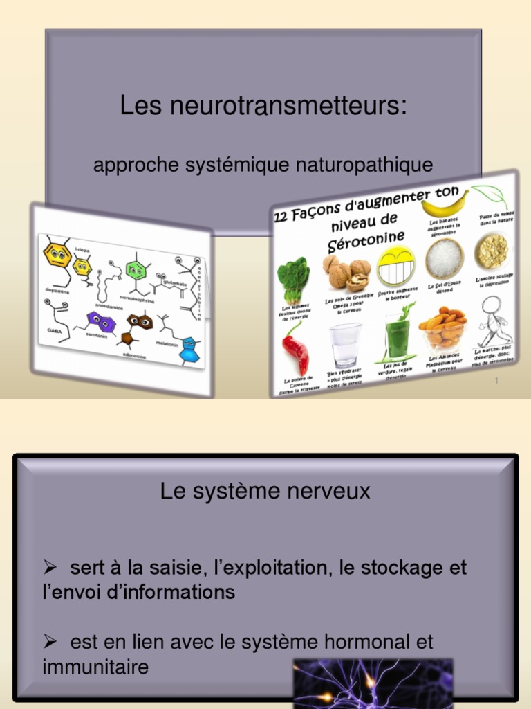 Classification des neurotransmetteurs | PDF | Synapse | Acétylcholine