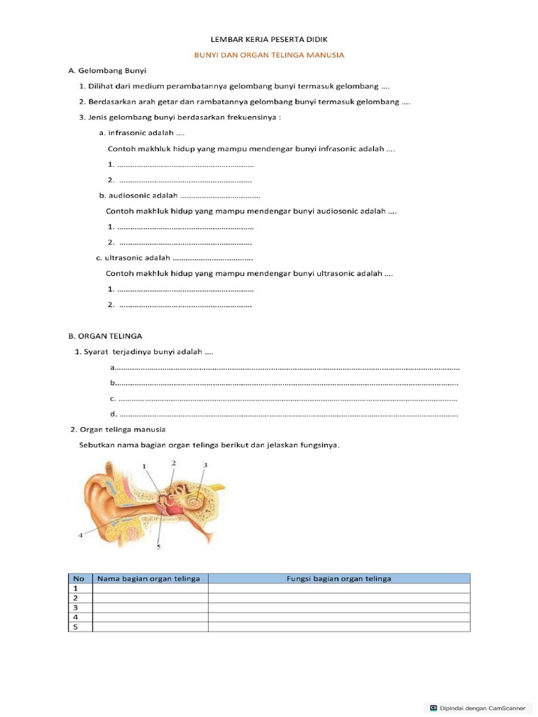LEMBAR KERJA PESERTA DIDIK Bunyi | PDF