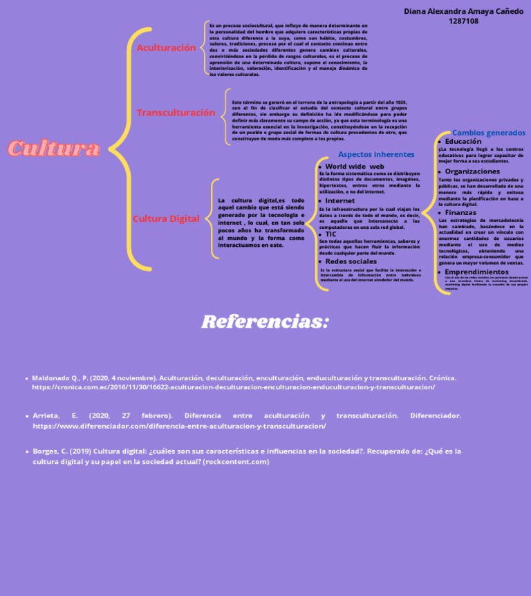 Mapa Sinoptico PDF | PDF | Internet | Marketing