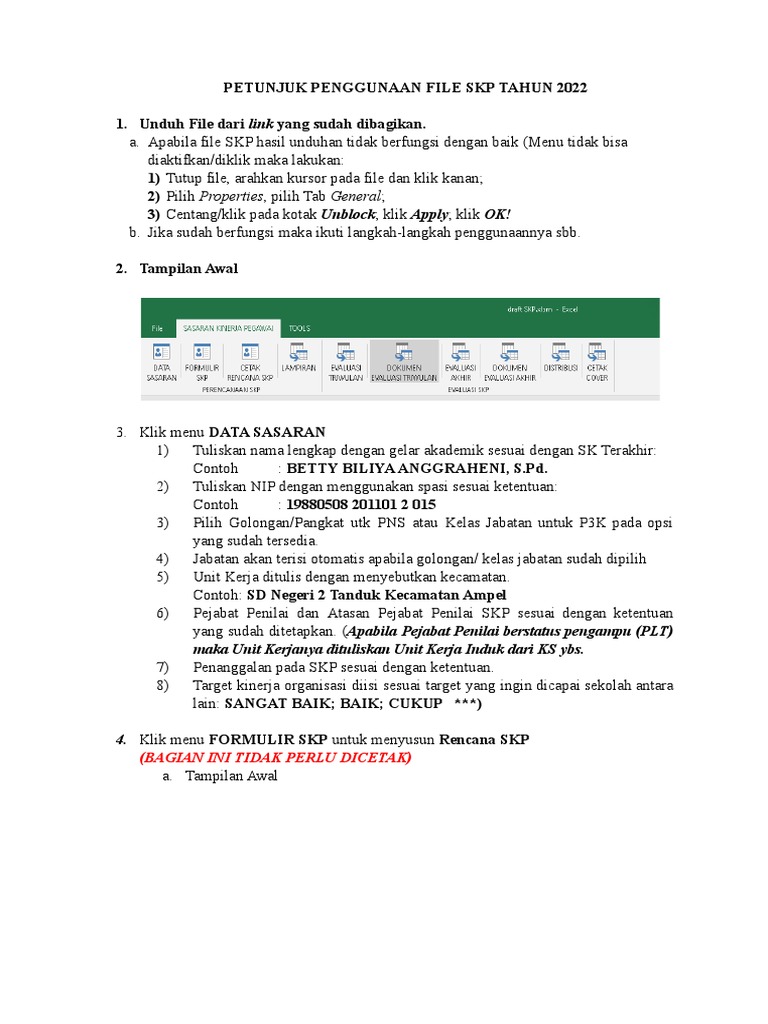 Petunjuk Penggunaan Aplikasi SKP | PDF | Bisnis