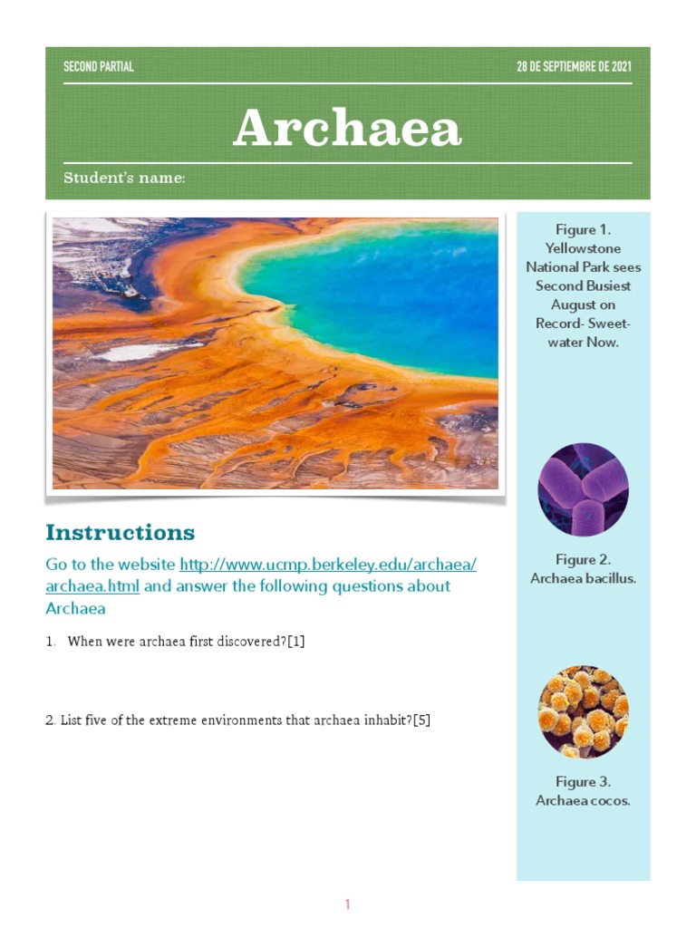 Archaea | PDF