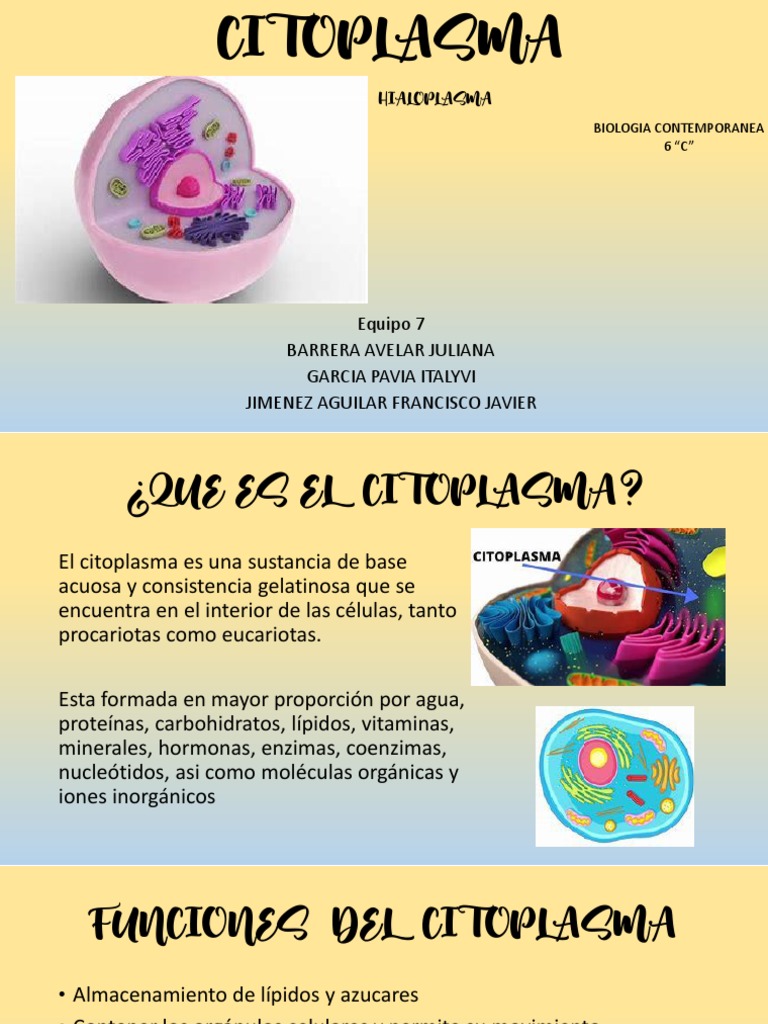 CITOPLASMA | PDF | Citoplasma | Histología