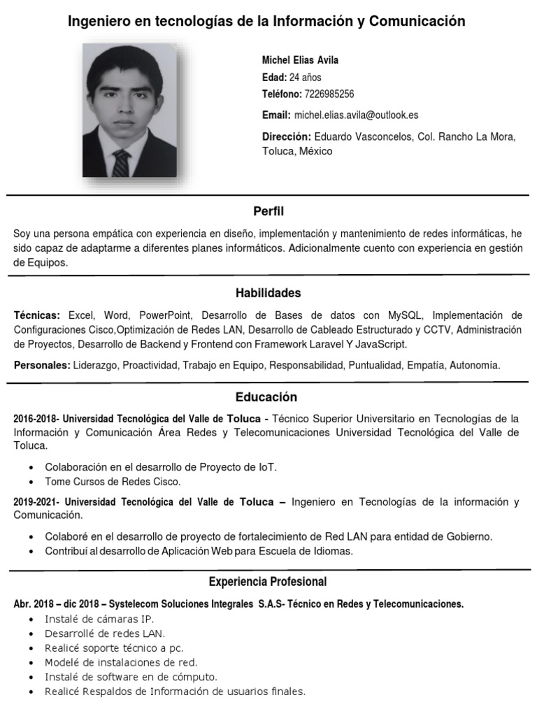 CV Michel Elias Avila | PDF