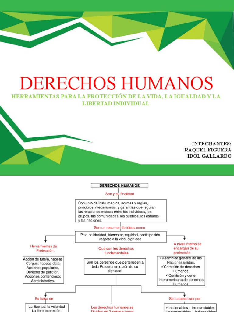 Derechos Humanos | PDF | Derechos | Derechos humanos
