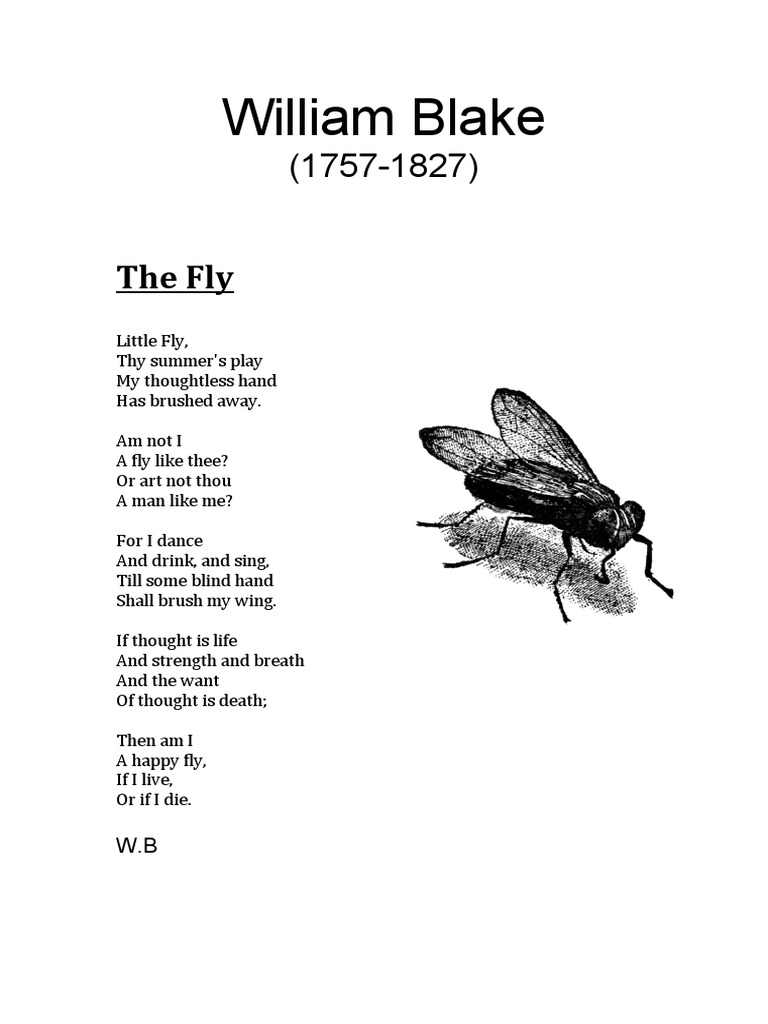William Blake Poems | PDF