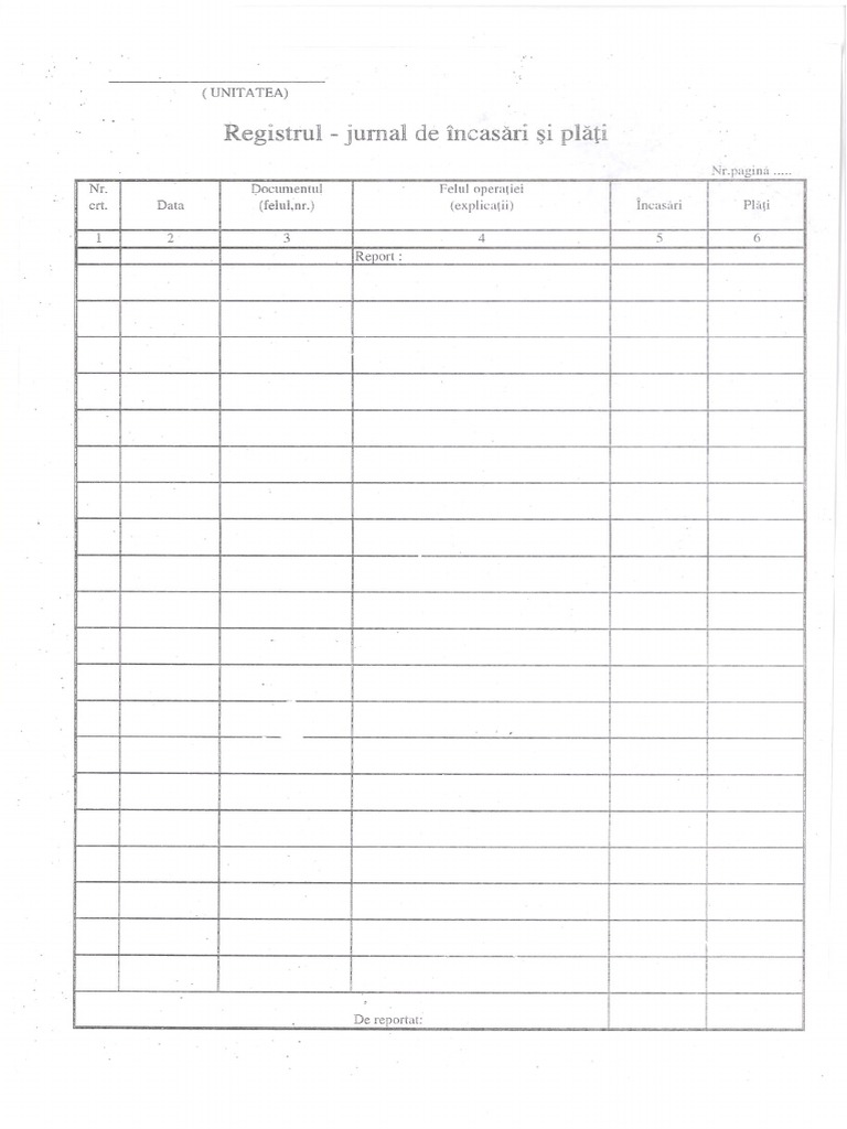 Model Registru Jurnal de Incasari Si Plati | PDF
