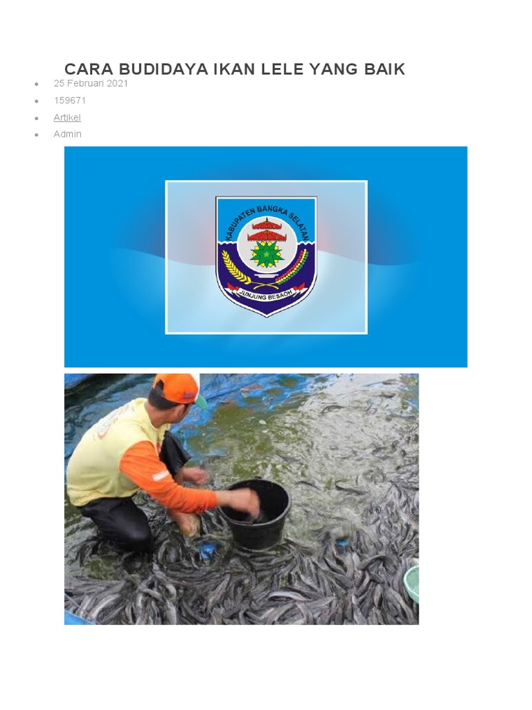 Cara Budidaya ikan lele | PDF