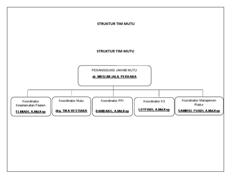 Struktur Tim Mutu | PDF