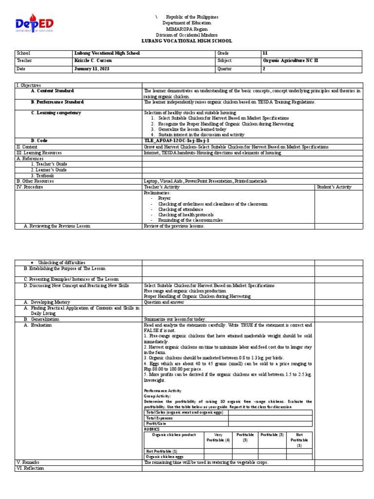 DLP Oancii G11 01 - 11 - 23 | PDF | Teachers | Learning