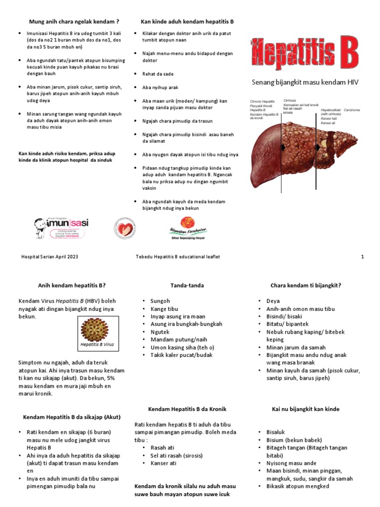 Hep B Bidayuh Leaflet v2 | PDF