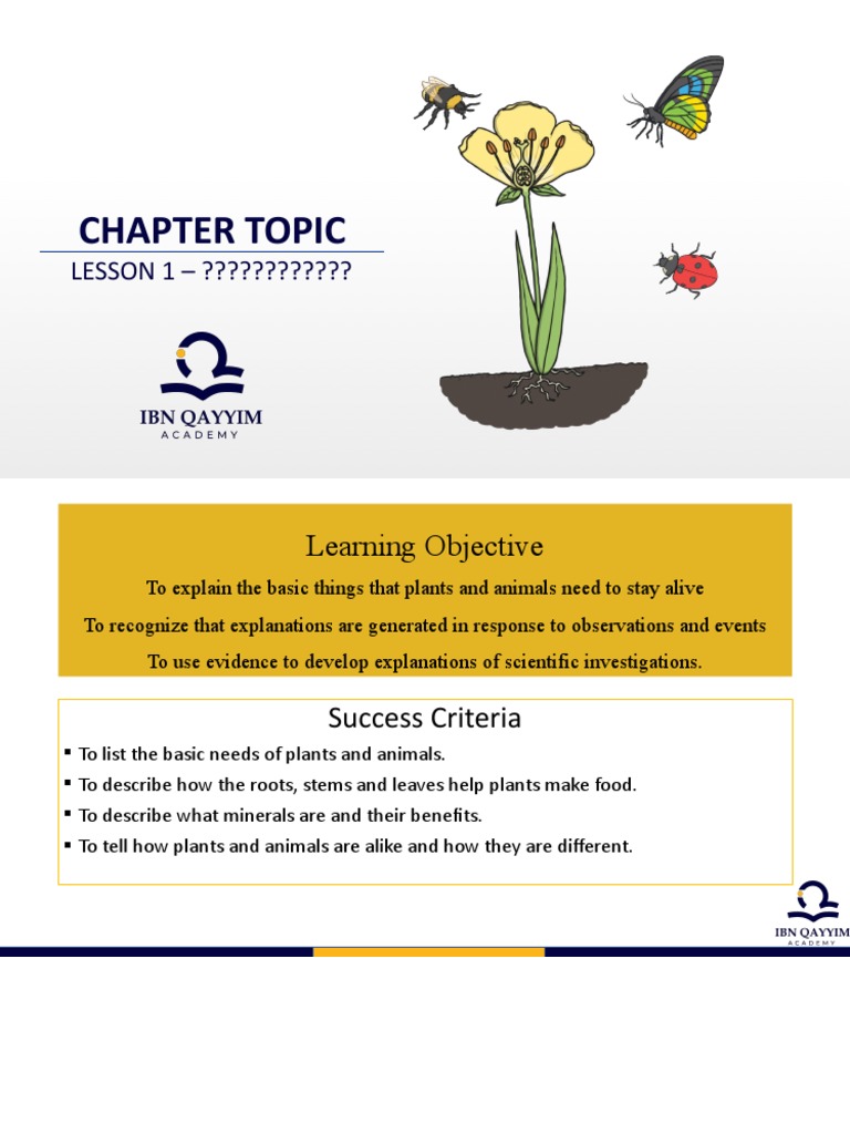 Lesson Note Template Iq Academy | PDF