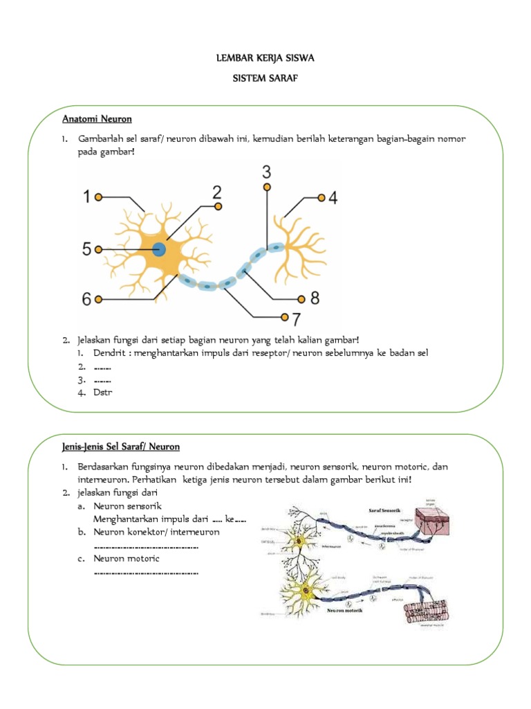 LKS Neuron PDF | PDF