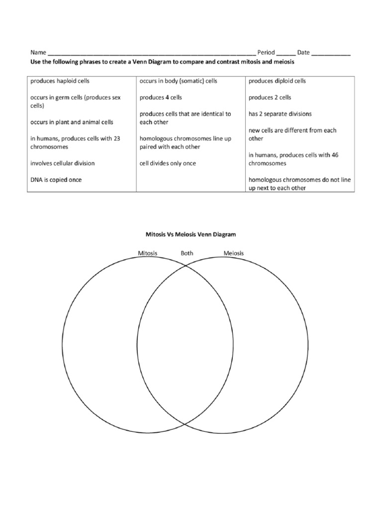 Mitosis Vs Meiosis Venn Diagram