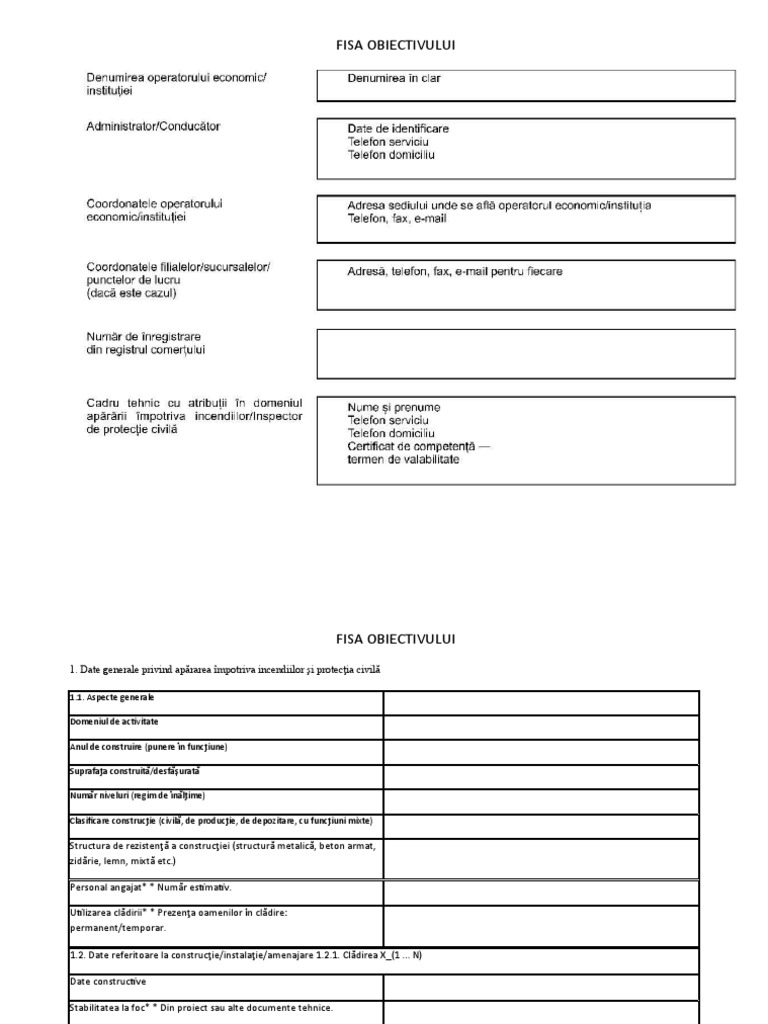 Fisa Obiectiv | PDF