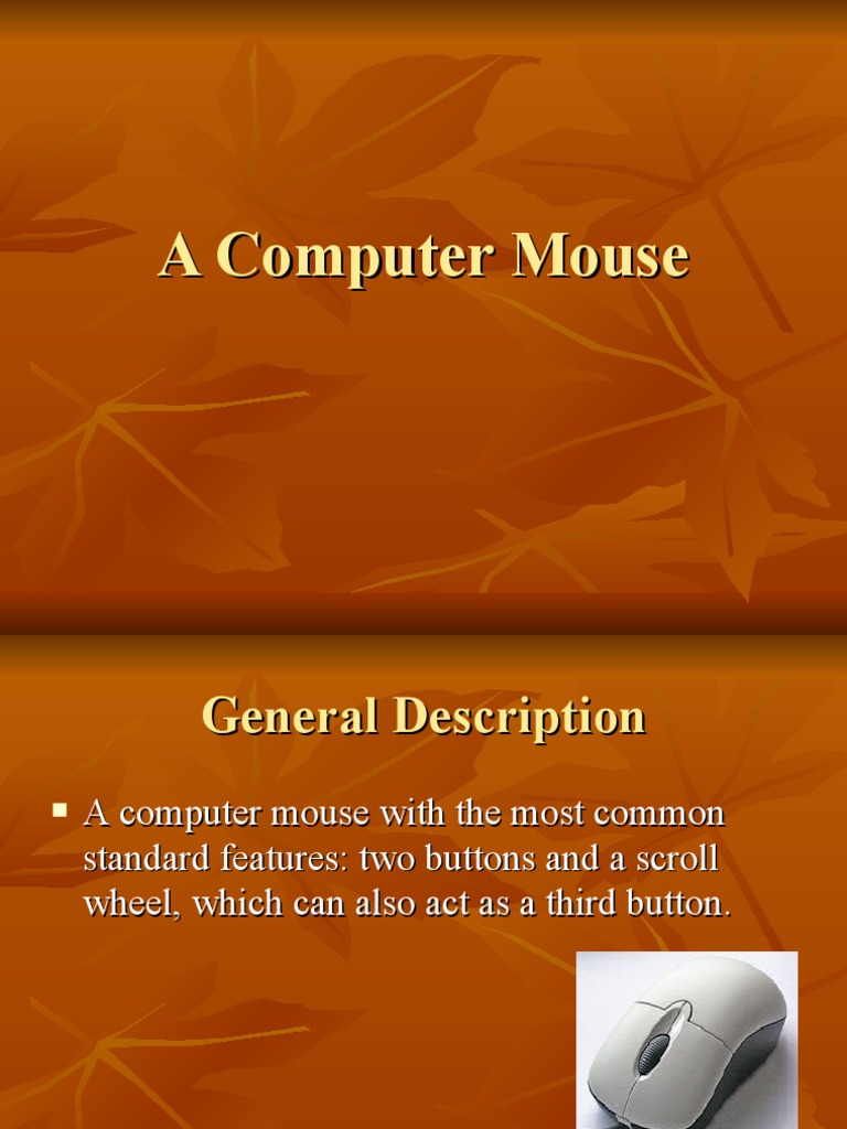 A Computer Mouse | PDF | Cursor (User Interface) | Input/Output