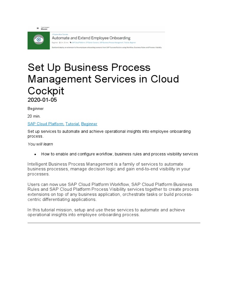 Set Up BPM Services in SAP Cloud | PDF | Business Process Management ...