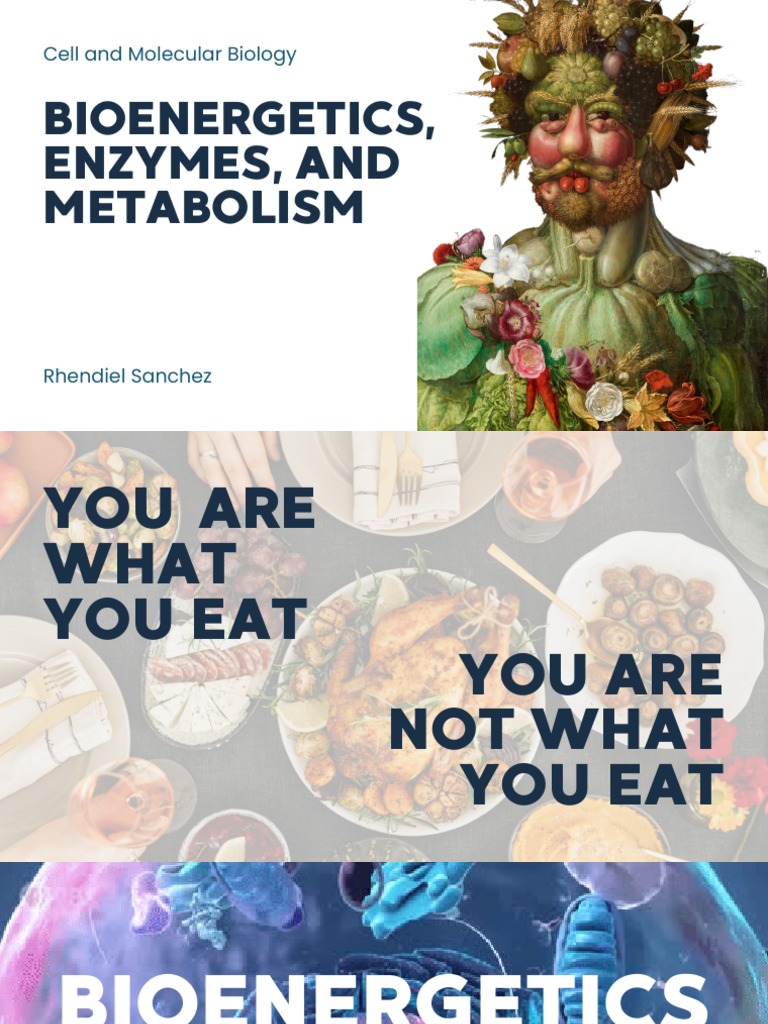 Bioenergetics, Enzymes, Metabolism | PDF | Enzyme Inhibitor | Enzyme