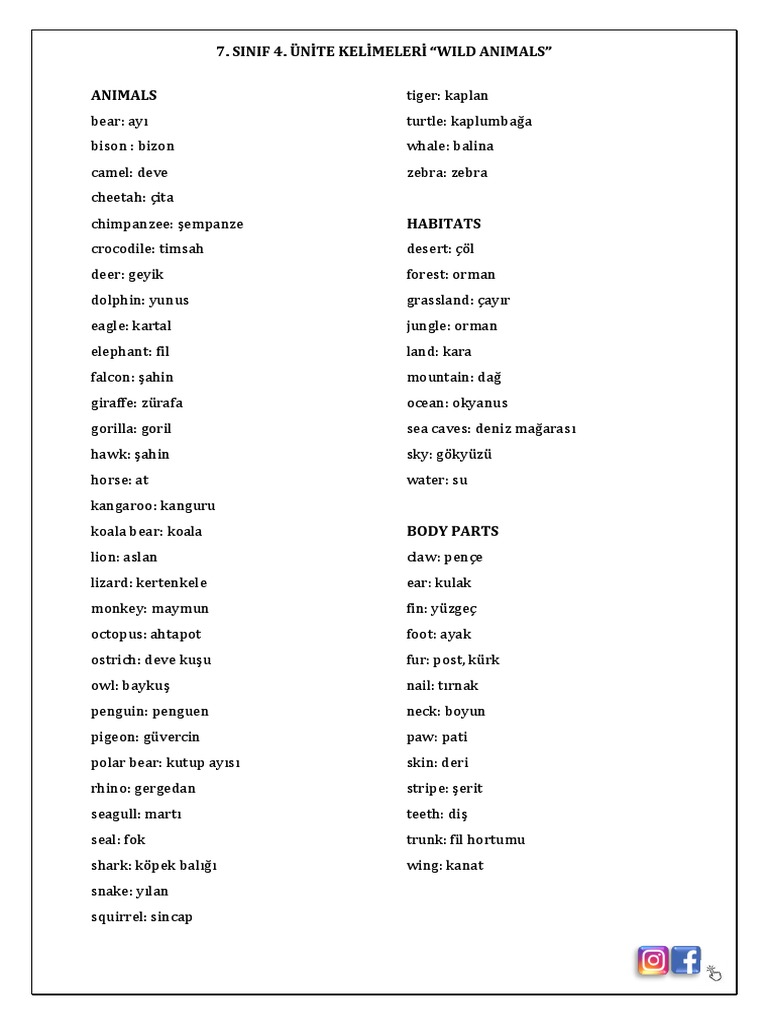 Sinif Ingilizce 4. Unite Kelimeleri by Ingilizceciyiz | PDF