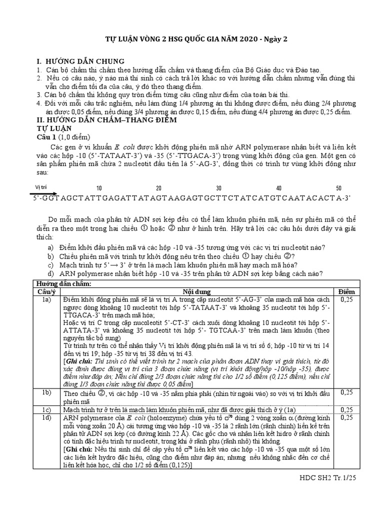 HDC VONG 2 HSGQG Ngay 2-2020 | PDF