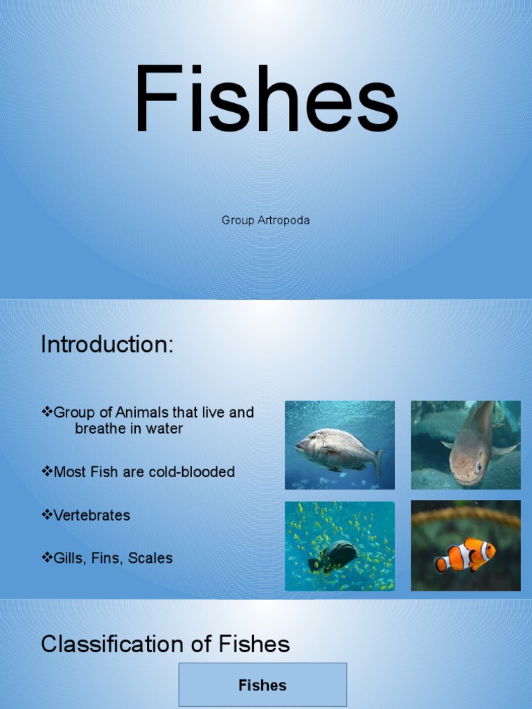 Fishes | PDF