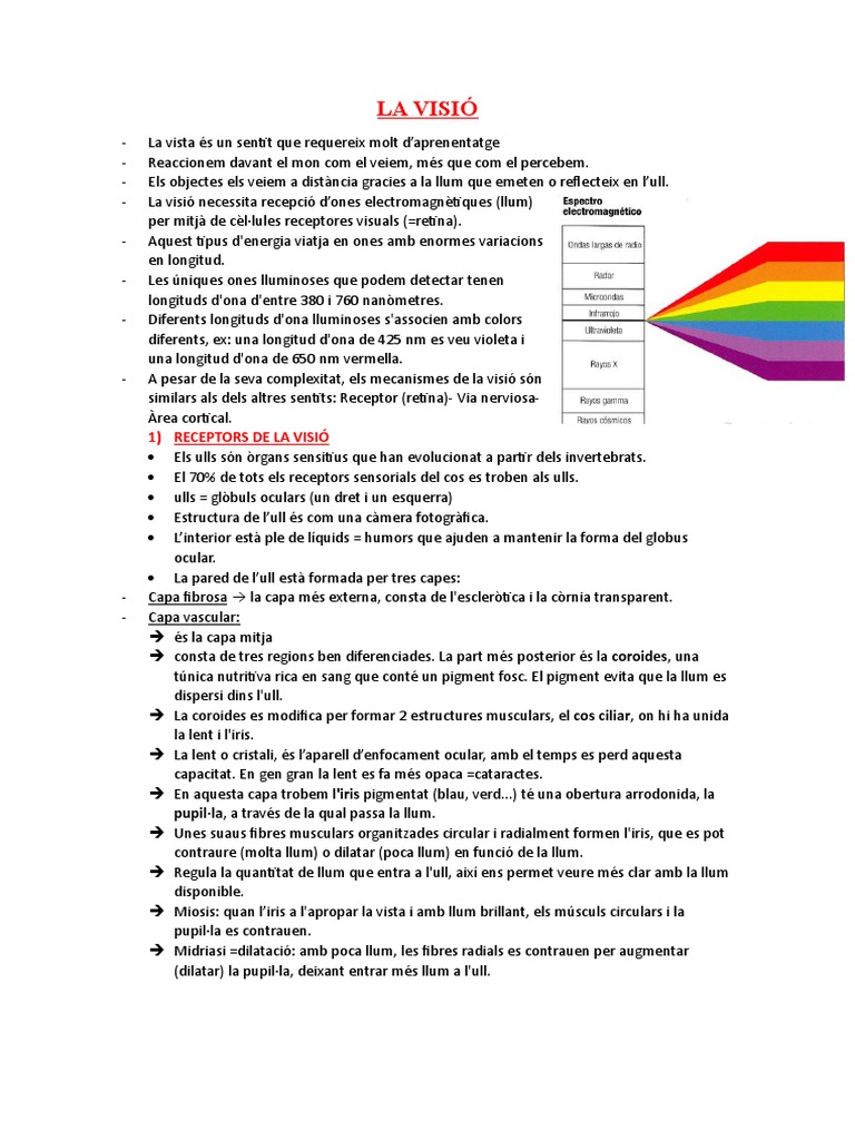13 - Visió | PDF