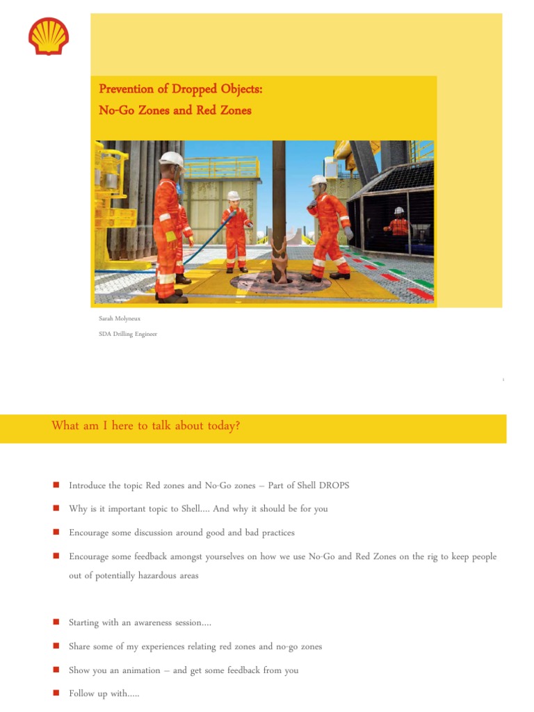 Red and No-Go Zones Awareness | PDF | History